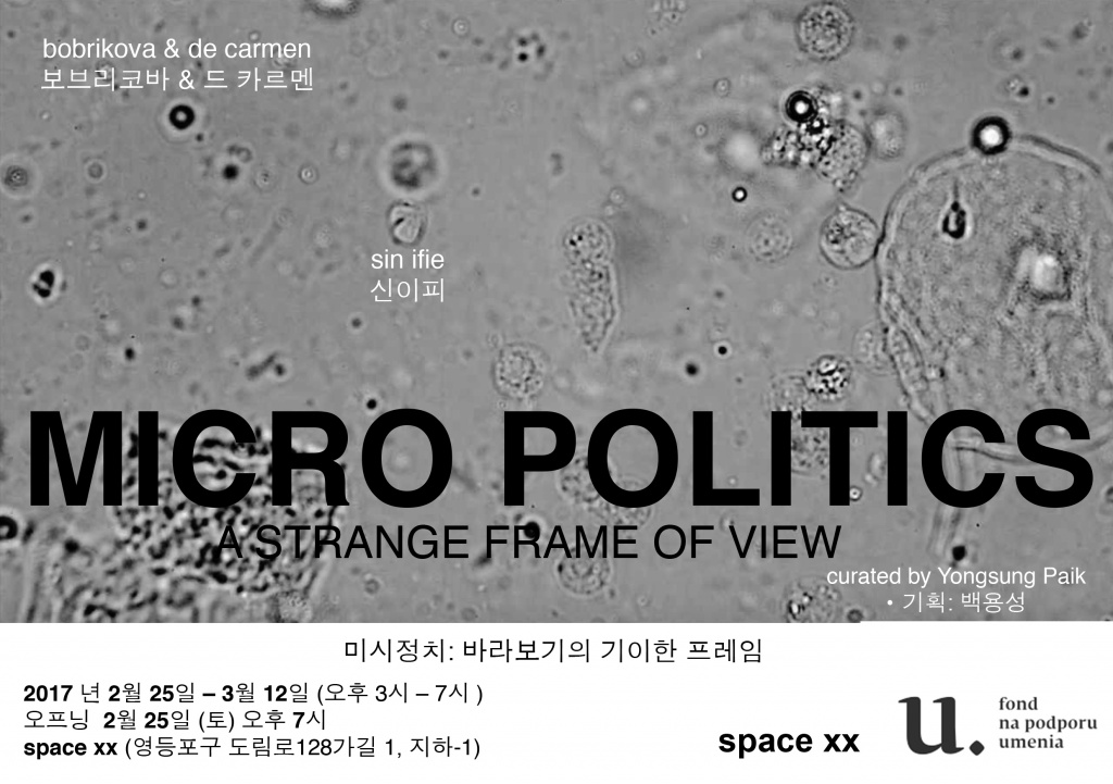 Micro Politics Martinka Bobrikova & Oscar De Carmen / works
